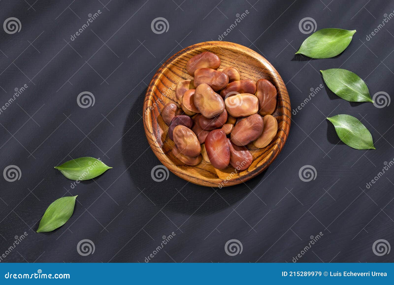 Fava Brown Dried Beans - Vicia Faba L Stock Image - Image of natural ...