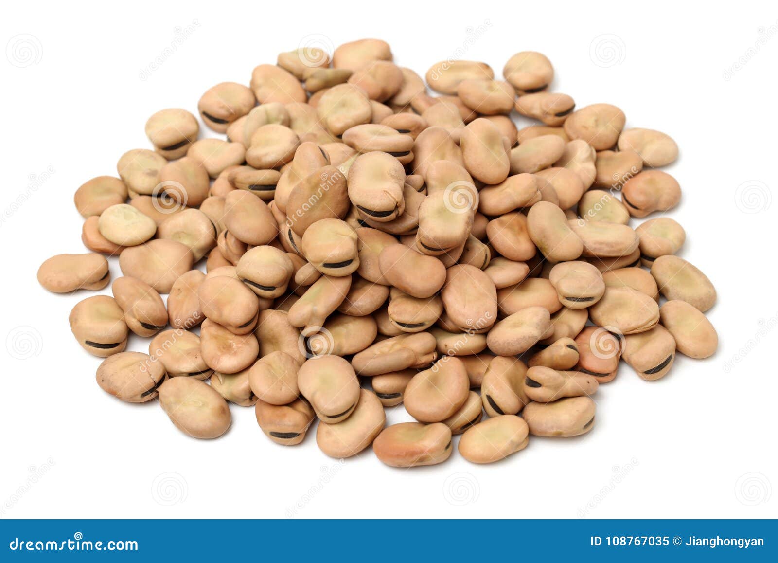 Fava da fava imagem de stock. Imagem de isolado, fundo - 108767035
