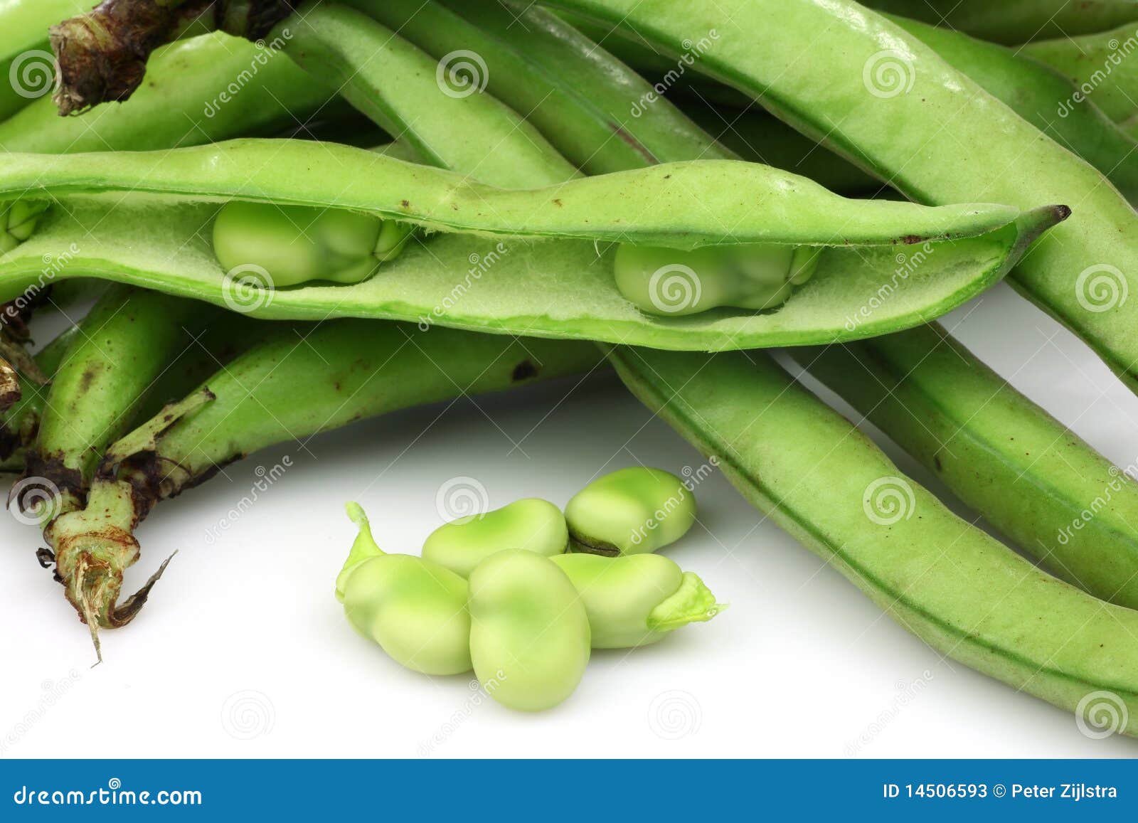 Fave immagine stock. Immagine di proteina, agricoltura - 14506593