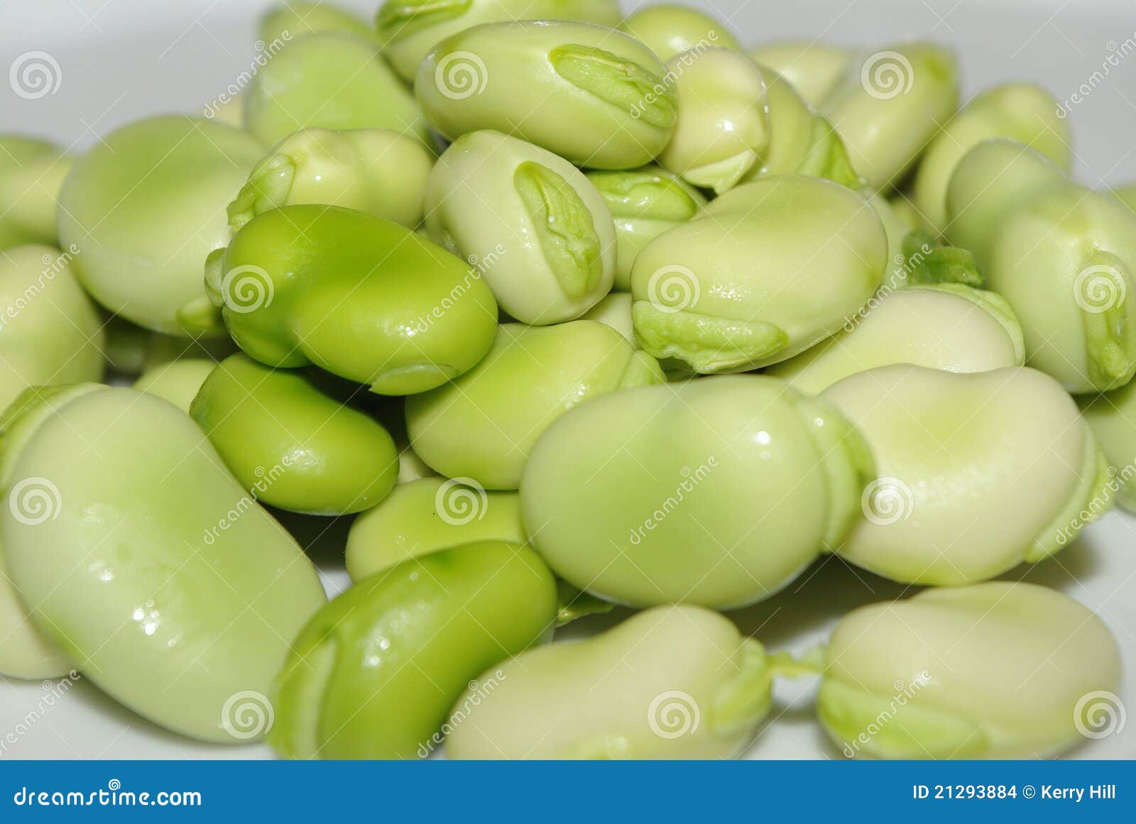 Fave fotografia stock. Immagine di sano, vasto, seme - 21293884