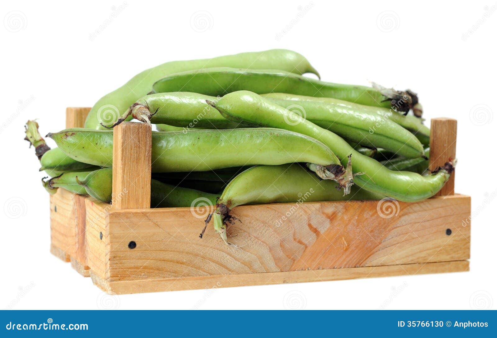 Fave fotografia stock. Immagine di dieta, baccello, organico - 35766130