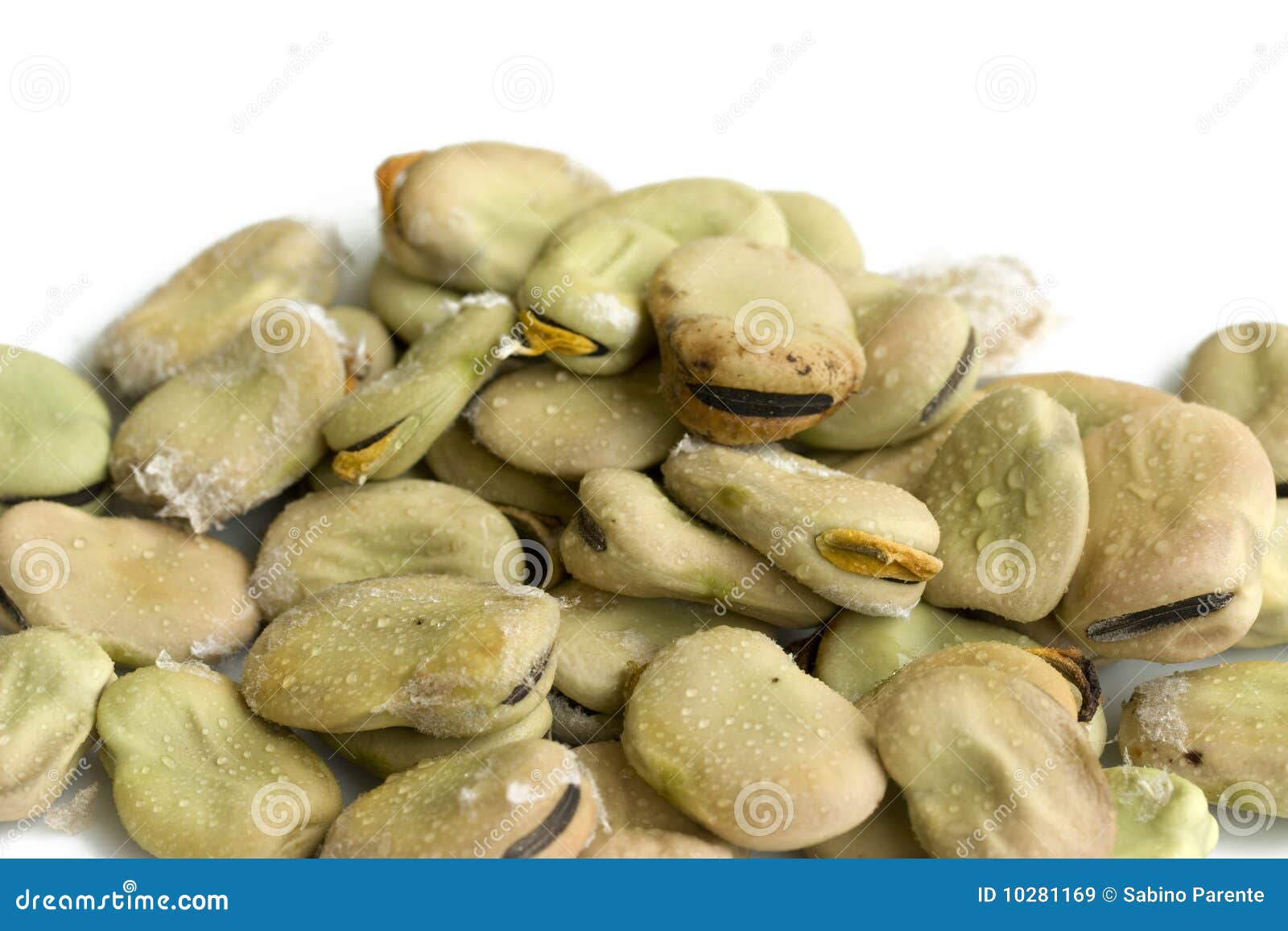 Fave beans stock image. Image of ingredients, field, diet - 10281169