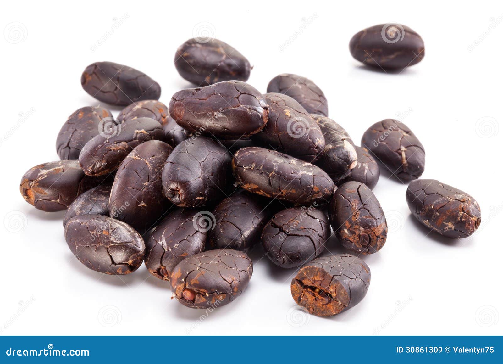 Fave di cacao immagine stock. Immagine di maturo, macro - 30861309