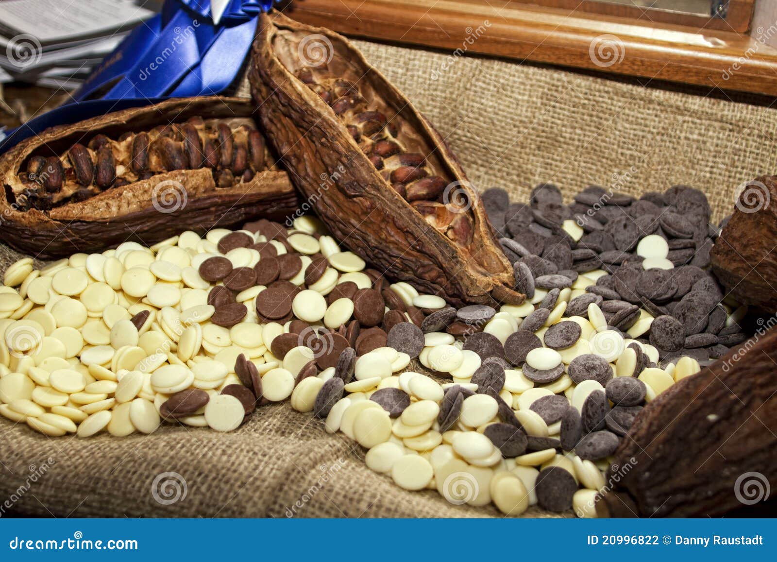 Fave Di Cacao Con Cioccolato Bianco E Scuro Fotografia Stock - Immagine ...