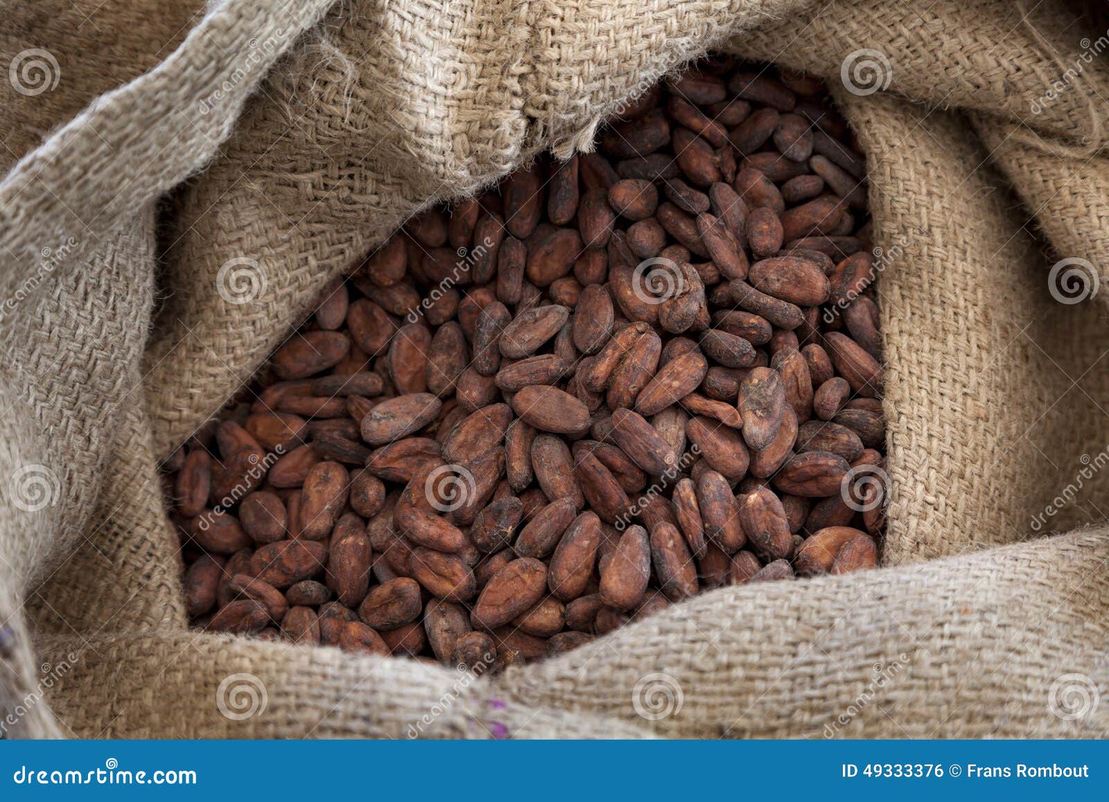Fave Di Cacao in Una Borsa Della Iuta Fotografia Stock - Immagine di ...