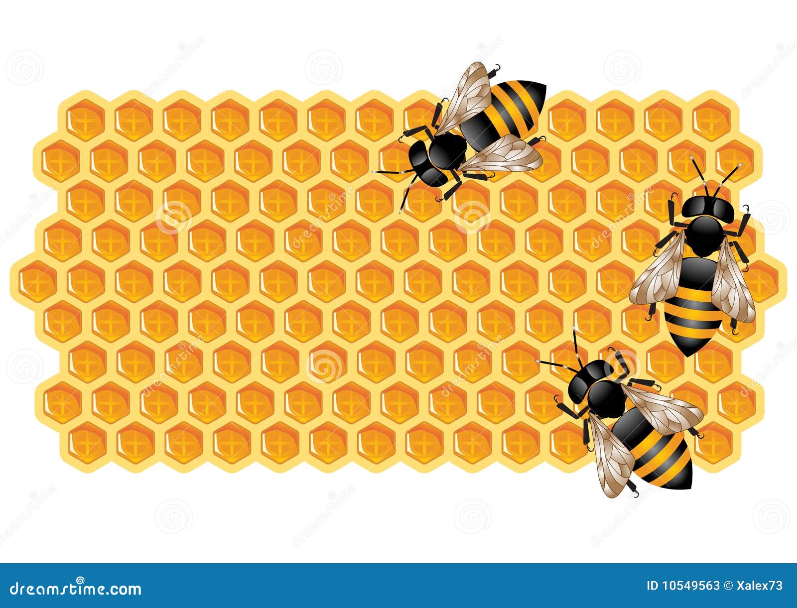 Favo Con Gli Api Fotografie Stock - Immagine: 10549563