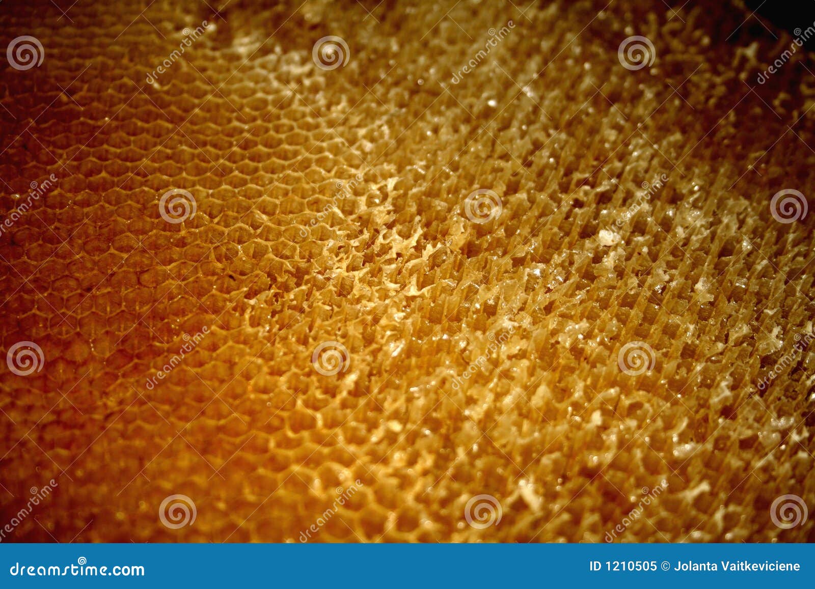 Favo de mel imagem de stock. Imagem de fundos, cultivar - 1210505