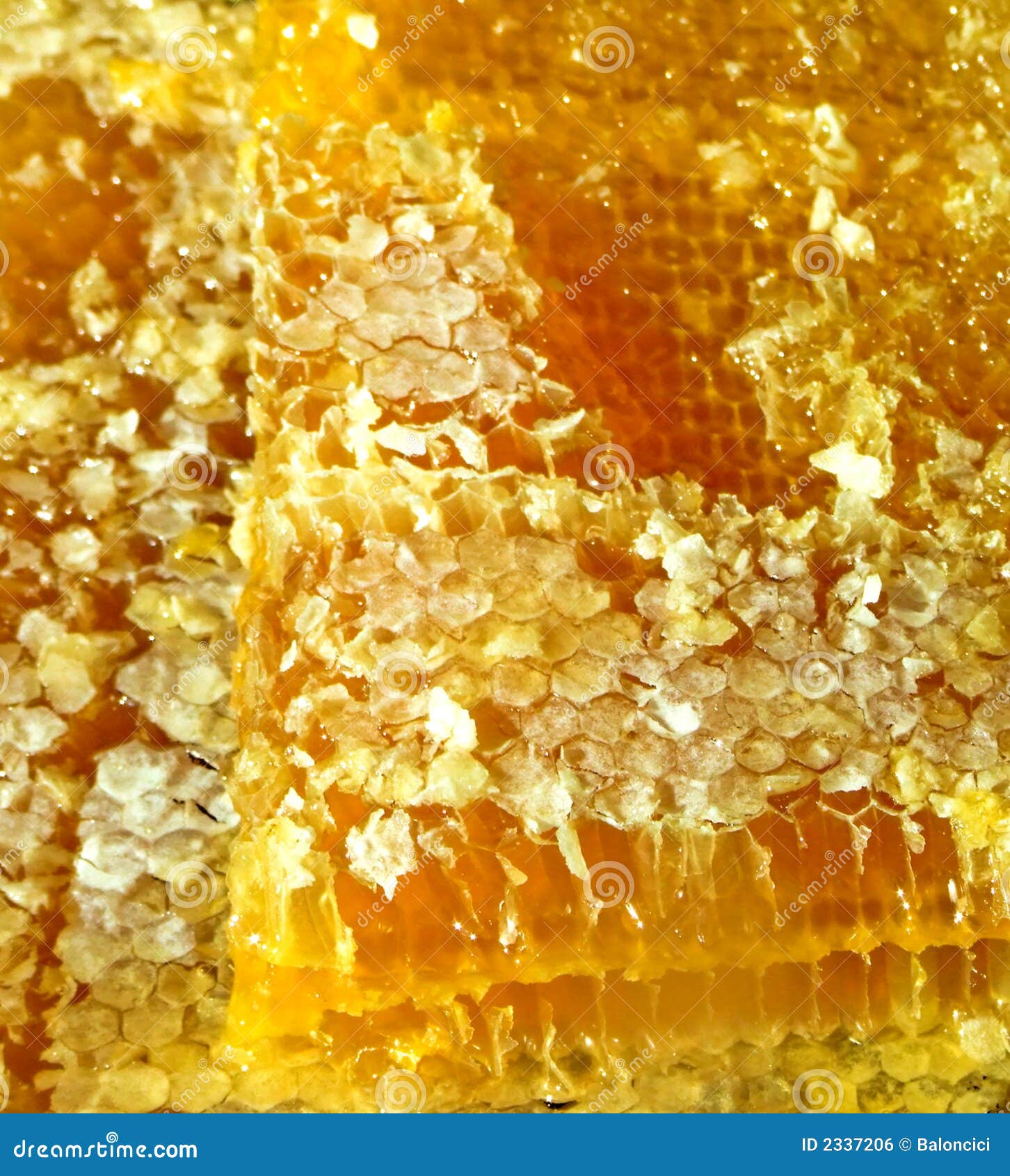 Favo de mel foto de stock. Imagem de doce, alveolado, gostoso - 2337206