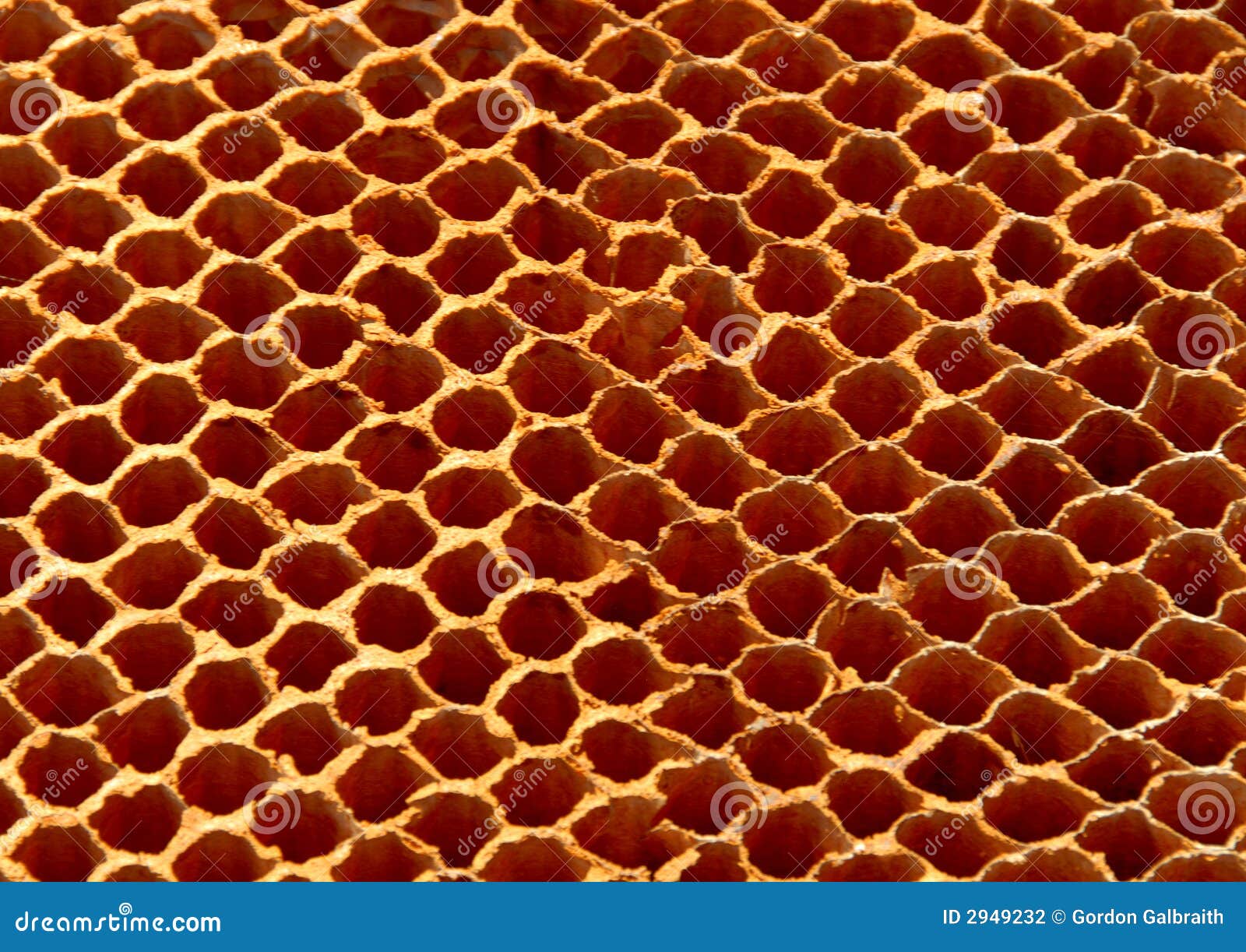 Favo de mel foto de stock. Imagem de alveolado, metal - 2949232