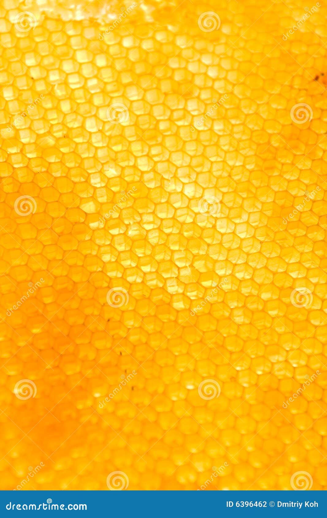 Favo de mel foto de stock. Imagem de detalhe, alveolado - 6396462
