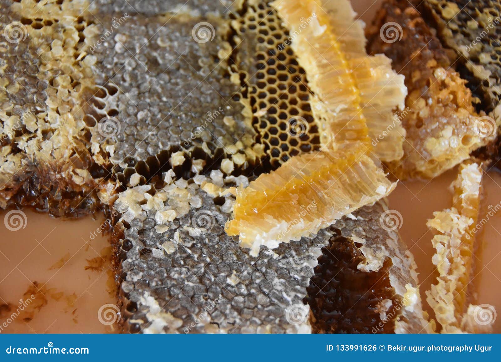 Favo De Mel Completamente Do Mel Foto de Stock - Imagem de tijolo, cera ...