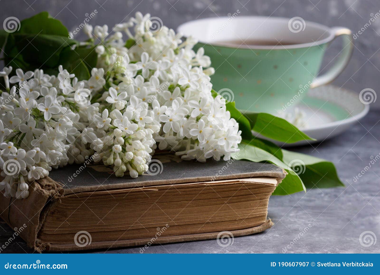 Favorite Old Book and Fragrant Tea Stock Image - Image of bloom ...