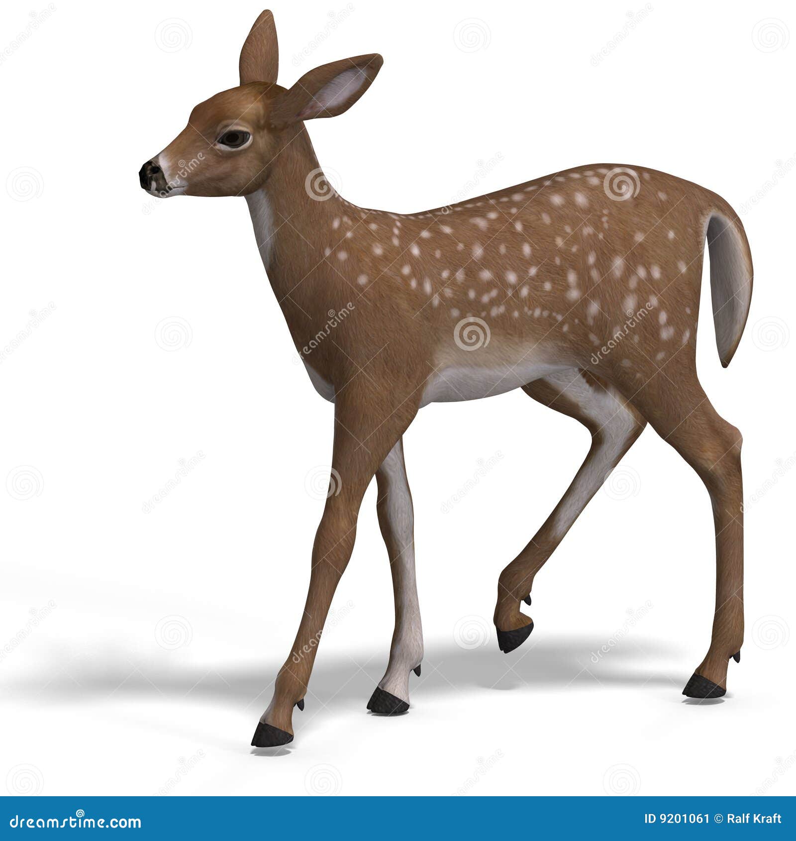 Fawn Standing Stock Illustrations – 1,823 Fawn Standing Stock ...