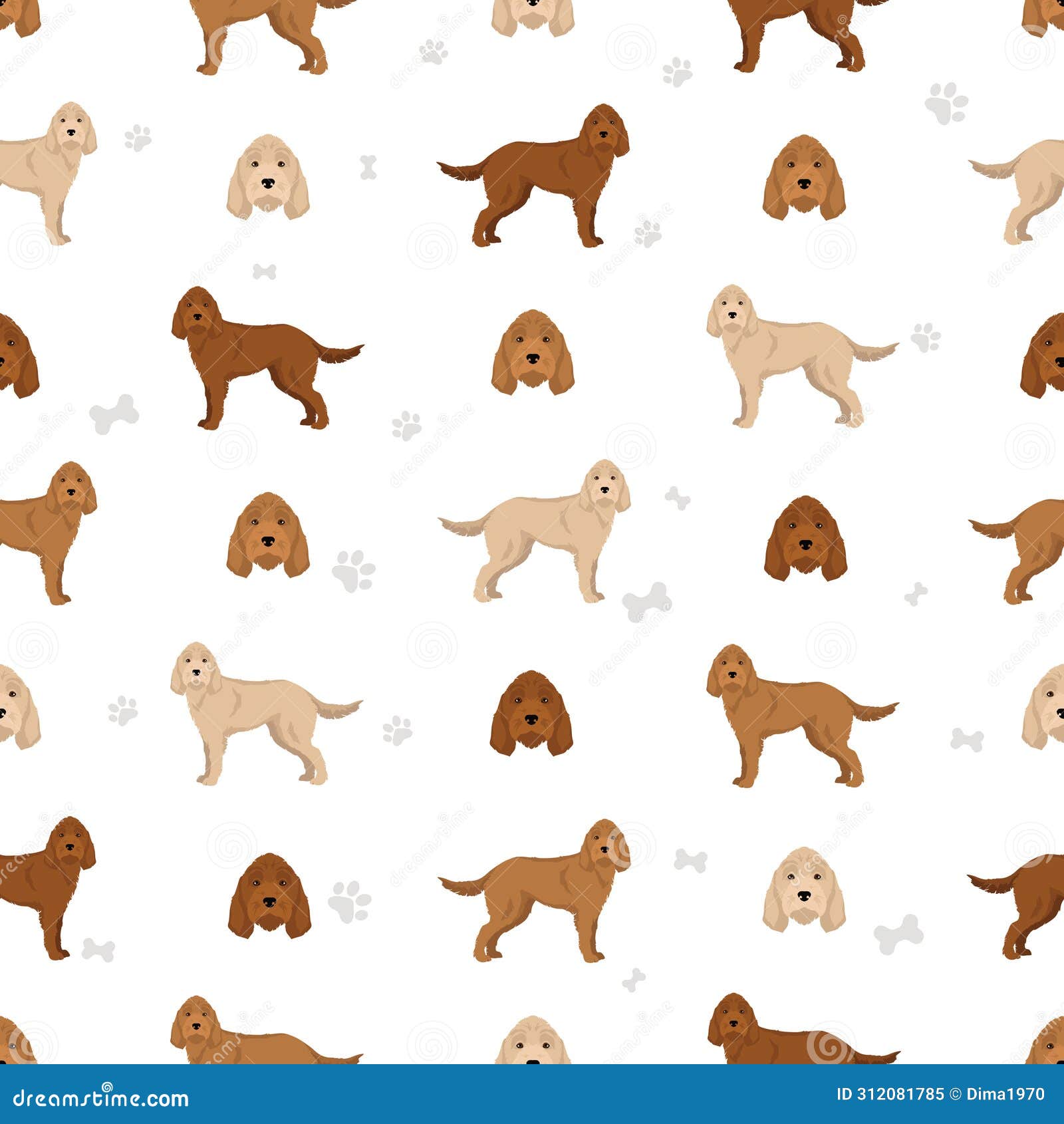 Fawn Brittany Griffon Seamless Pattern. Different Coat Colors Set Stock ...