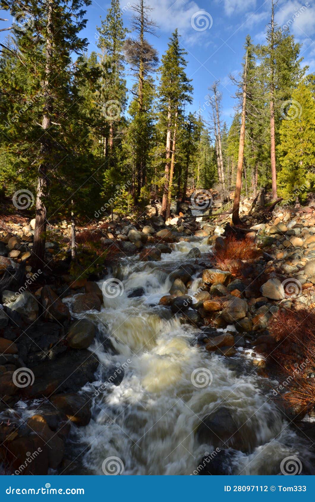 Fawn Creek after Rain stock photo. Image of stream, river - 28097112
