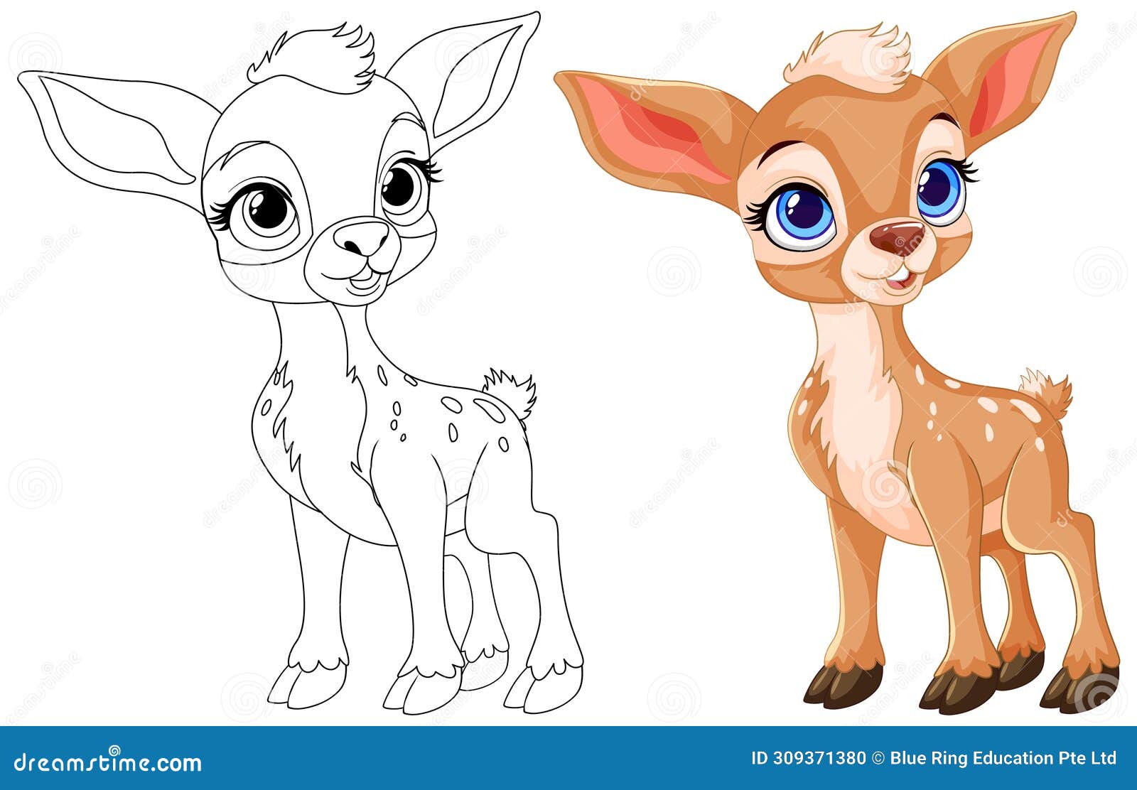 A Fawn, Outlined and Colored Stock Illustration - Illustration of tail ...