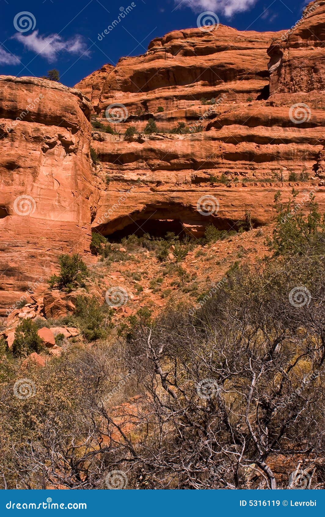 Fay Canyon Arch stock image. Image of forest, trail, arizona - 5316119