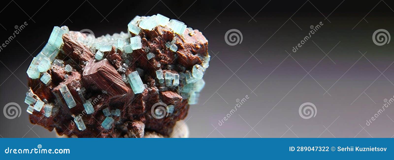 Fayalite is Rare Precious Natural Geological Stone on Gradient ...