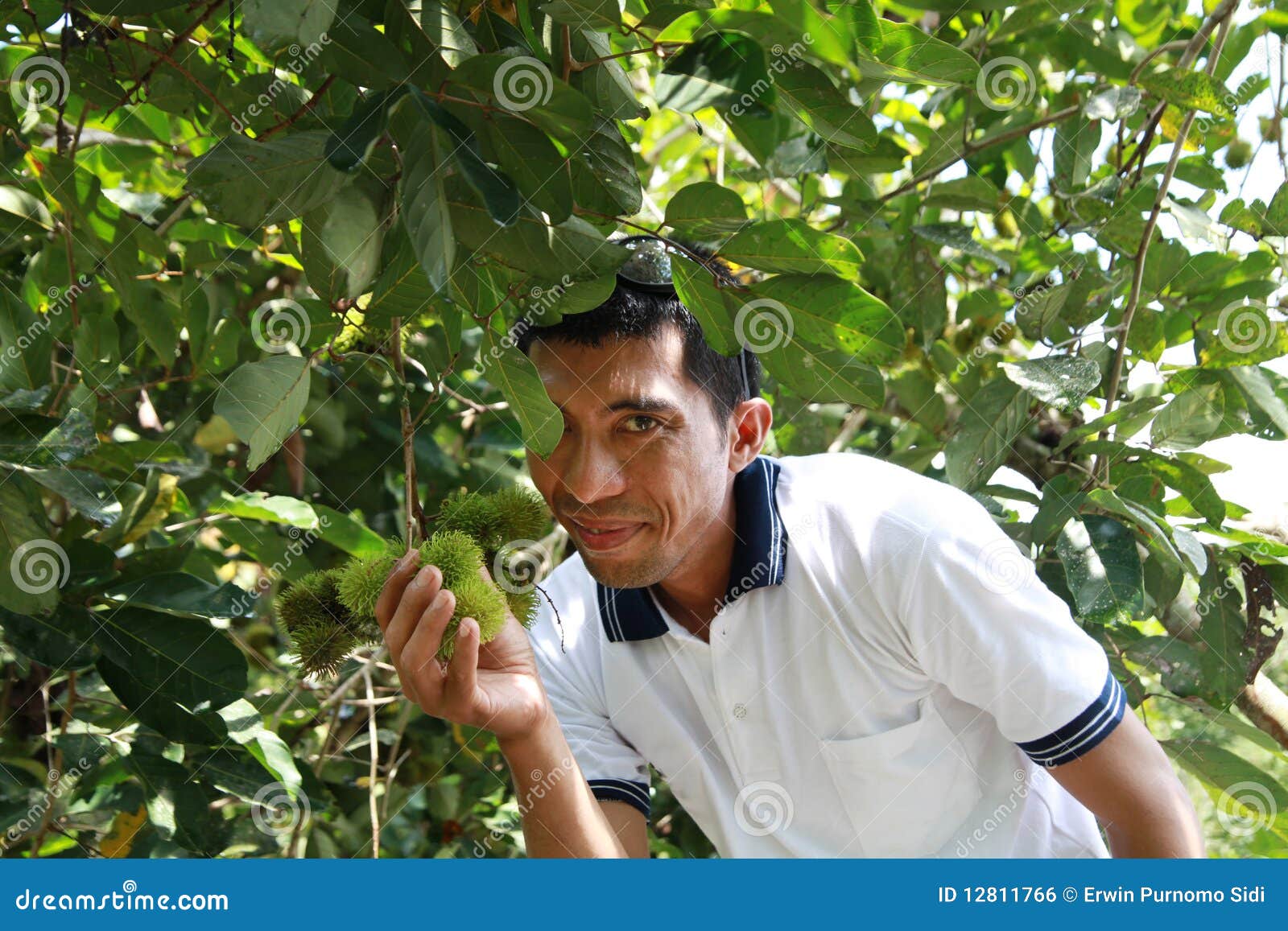 Fazendeiro foto de stock. Imagem de frutas, homens, exterior - 12811766