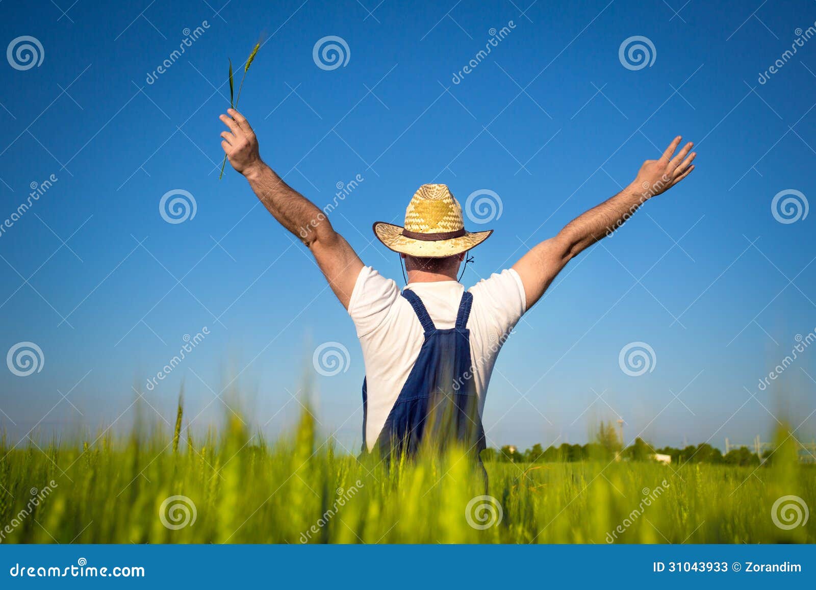 Fazendeiro no campo imagem de stock. Imagem de agricultor - 31043933