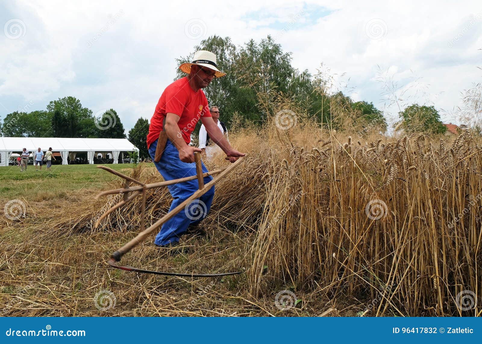 Fazendeiro Que Colhe O Trigo Com Foice Fotografia Editorial - Imagem de ...