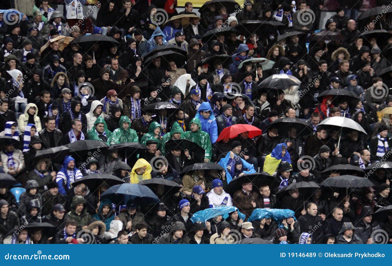 FC Dynamo Kyiv supporters editorial stock image. Image of sector - 19146489