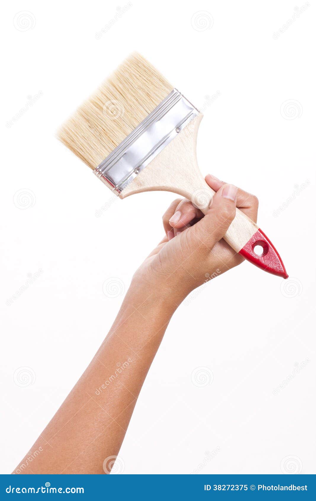 A Feamle Hand and Arm Holding a Decorating Brush Stock Image - Image of ...