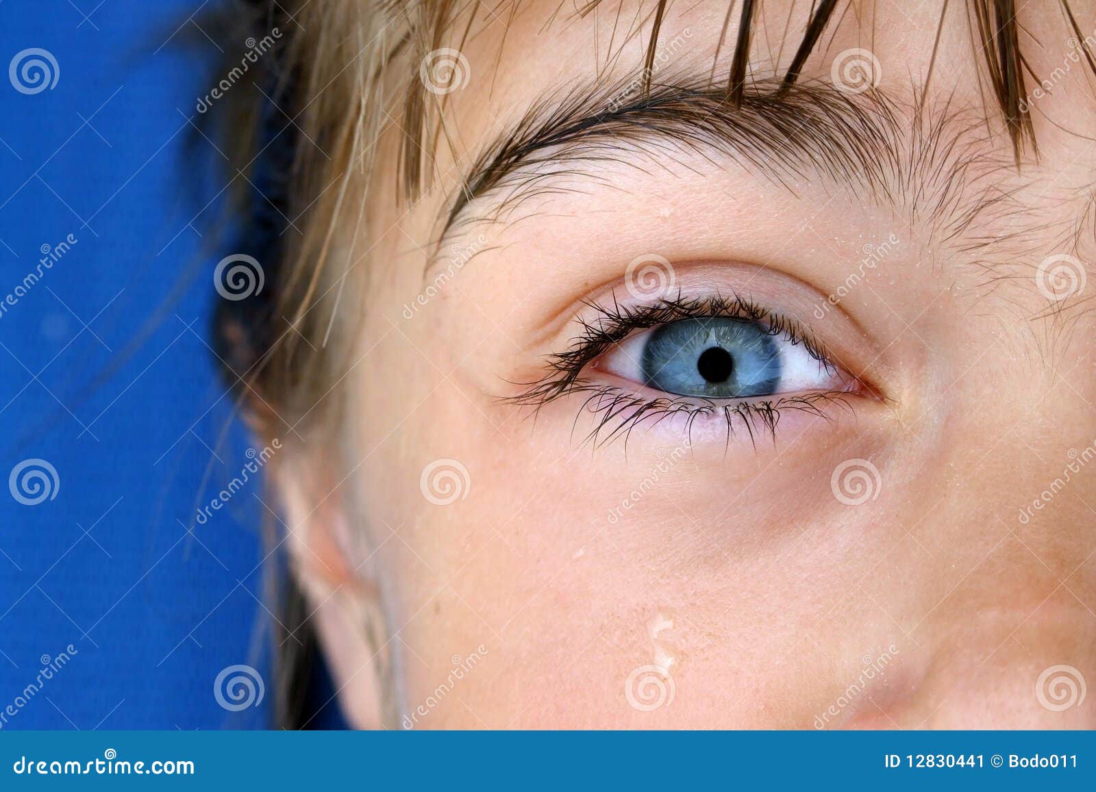 Fear stock image. Image of person, frighten, expression - 12830441