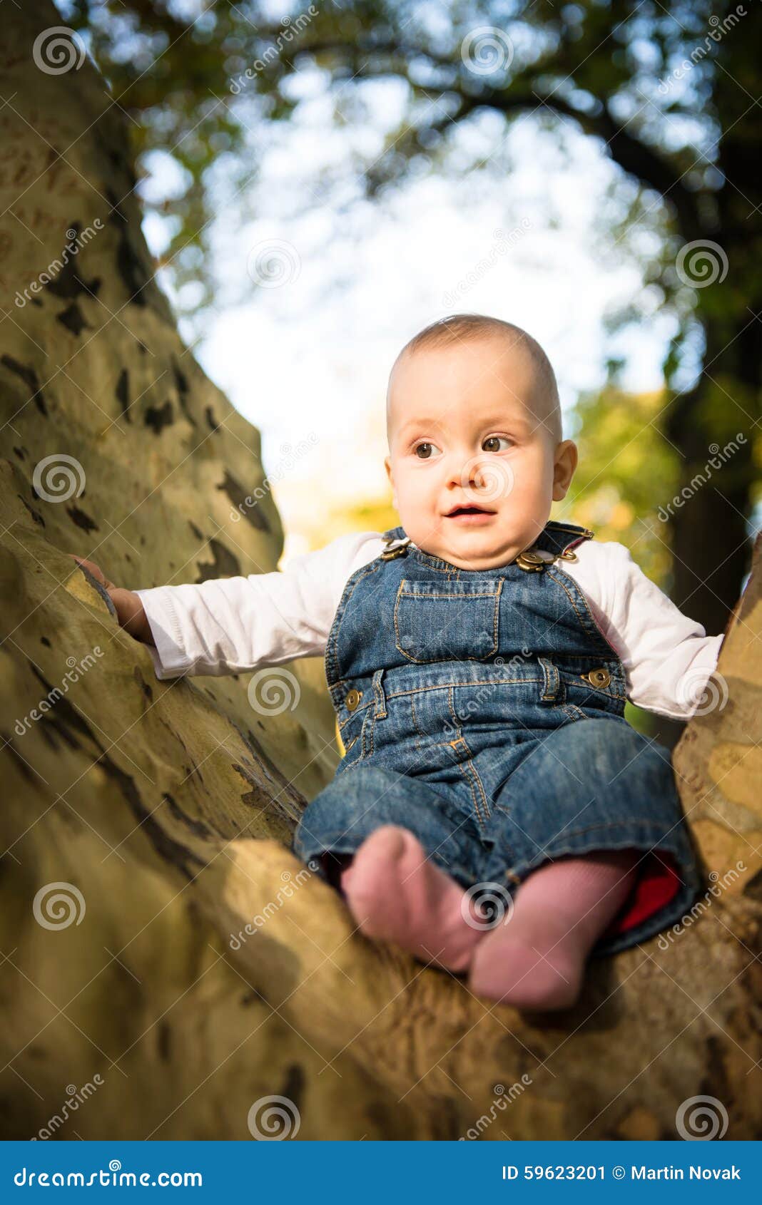 Fear - baby on big tree stock image. Image of childhood - 59623201