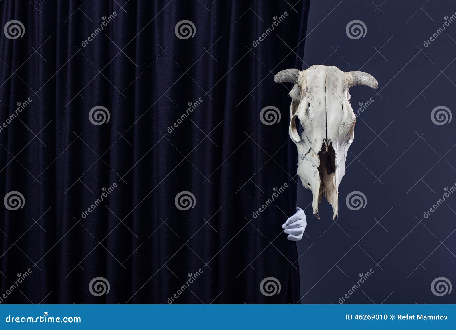 Fear and dread. stock photo. Image of skeleton, curtain - 46269010