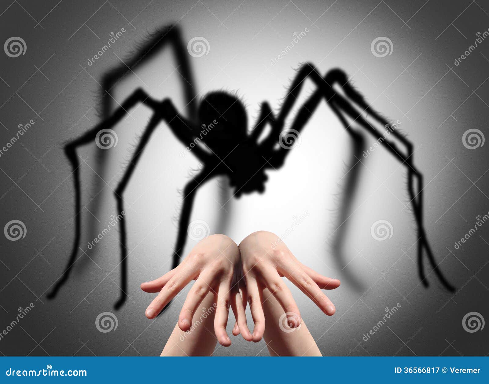 Fear, Fright, Spider Shadow on the Wall Stock Image - Image of anger ...