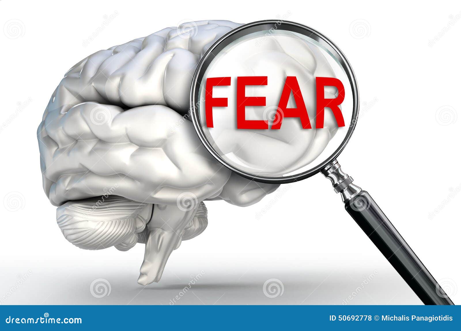 Fear Word on Magnifying Glass and Human Brain Stock Illustration ...