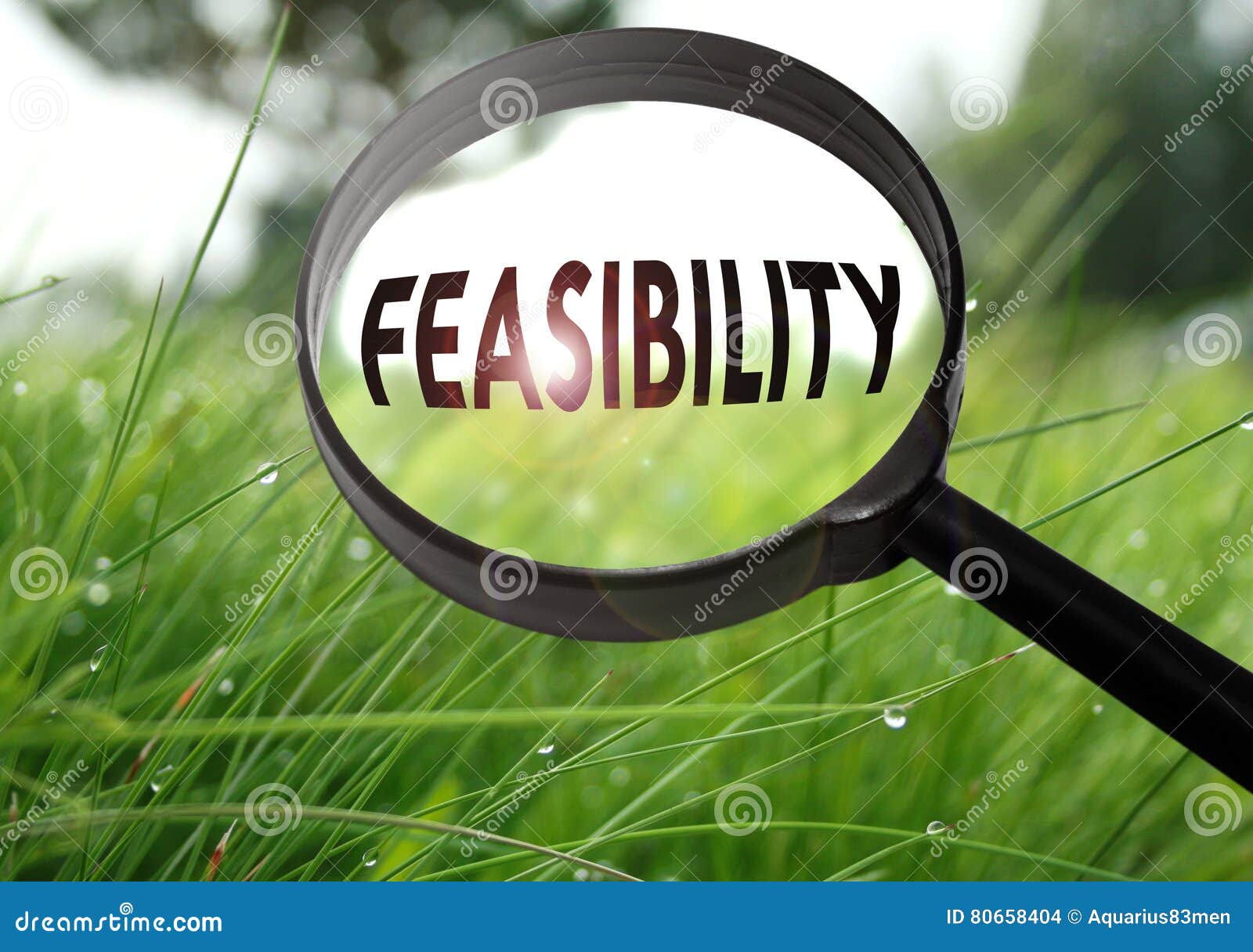 Feasibility Study - Assessment Of The Practicality Of A Proposed ...