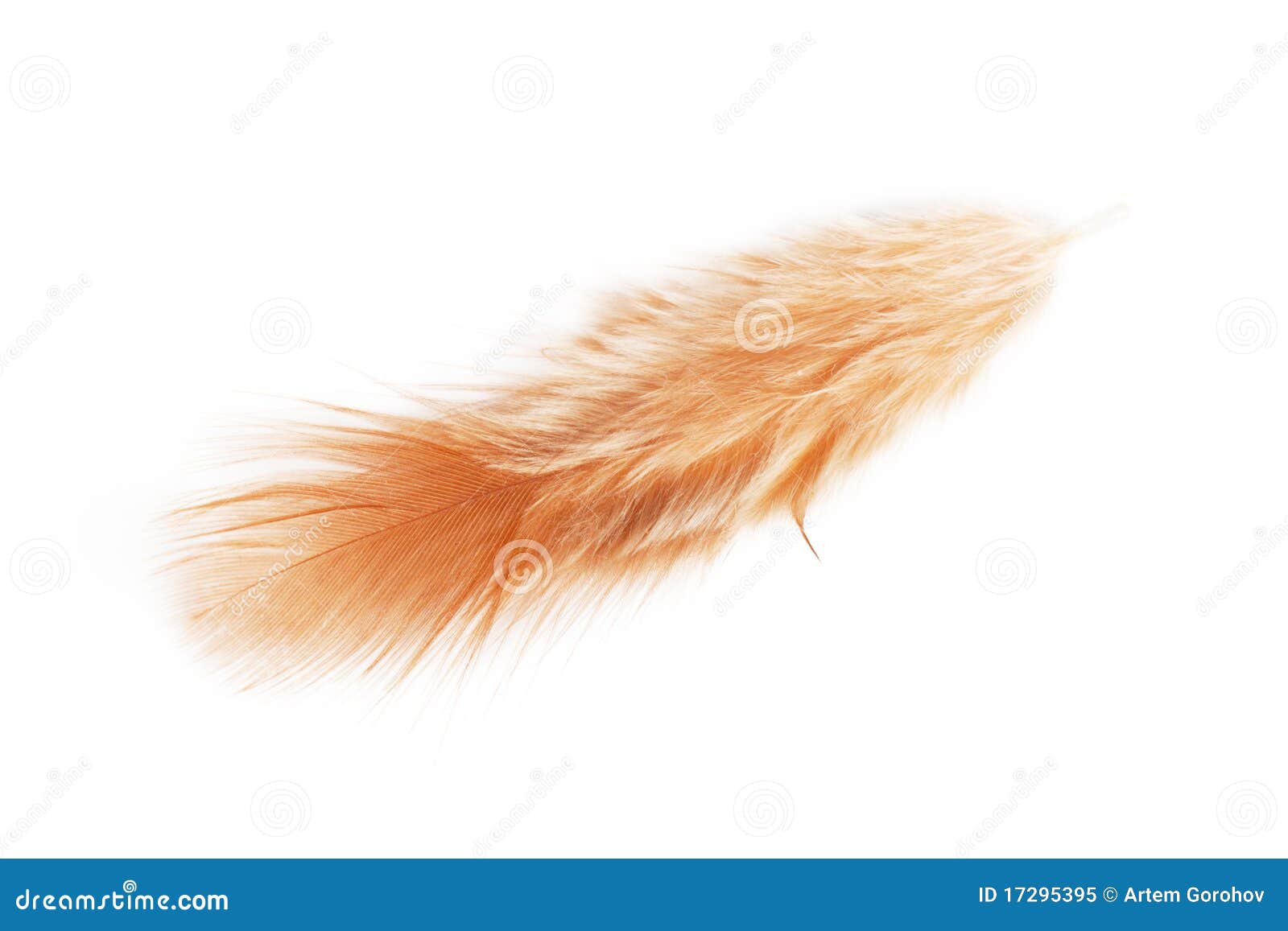 Feather Tickling Bare Feet Stock Photography | CartoonDealer.com #21168008