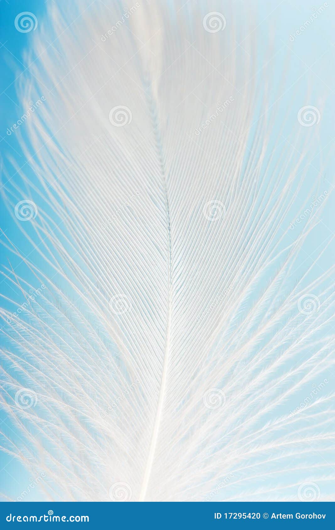 Feather Tickling Bare Feet Stock Photography | CartoonDealer.com #21168008