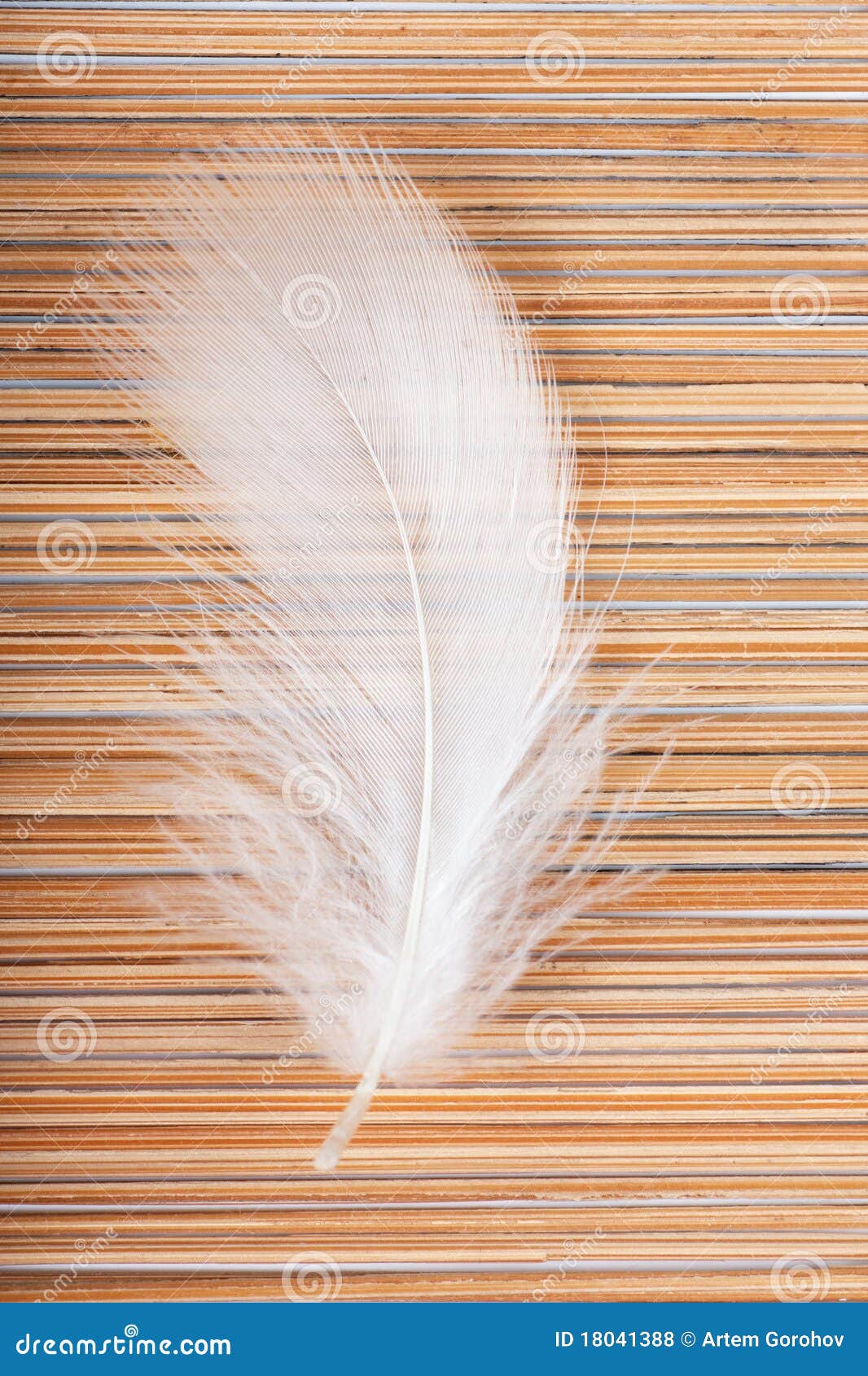 Feather Tickling Bare Feet Stock Photography | CartoonDealer.com #21168008