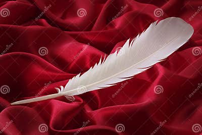 Feather stock image. Image of quill, purity, peace, light - 26549959