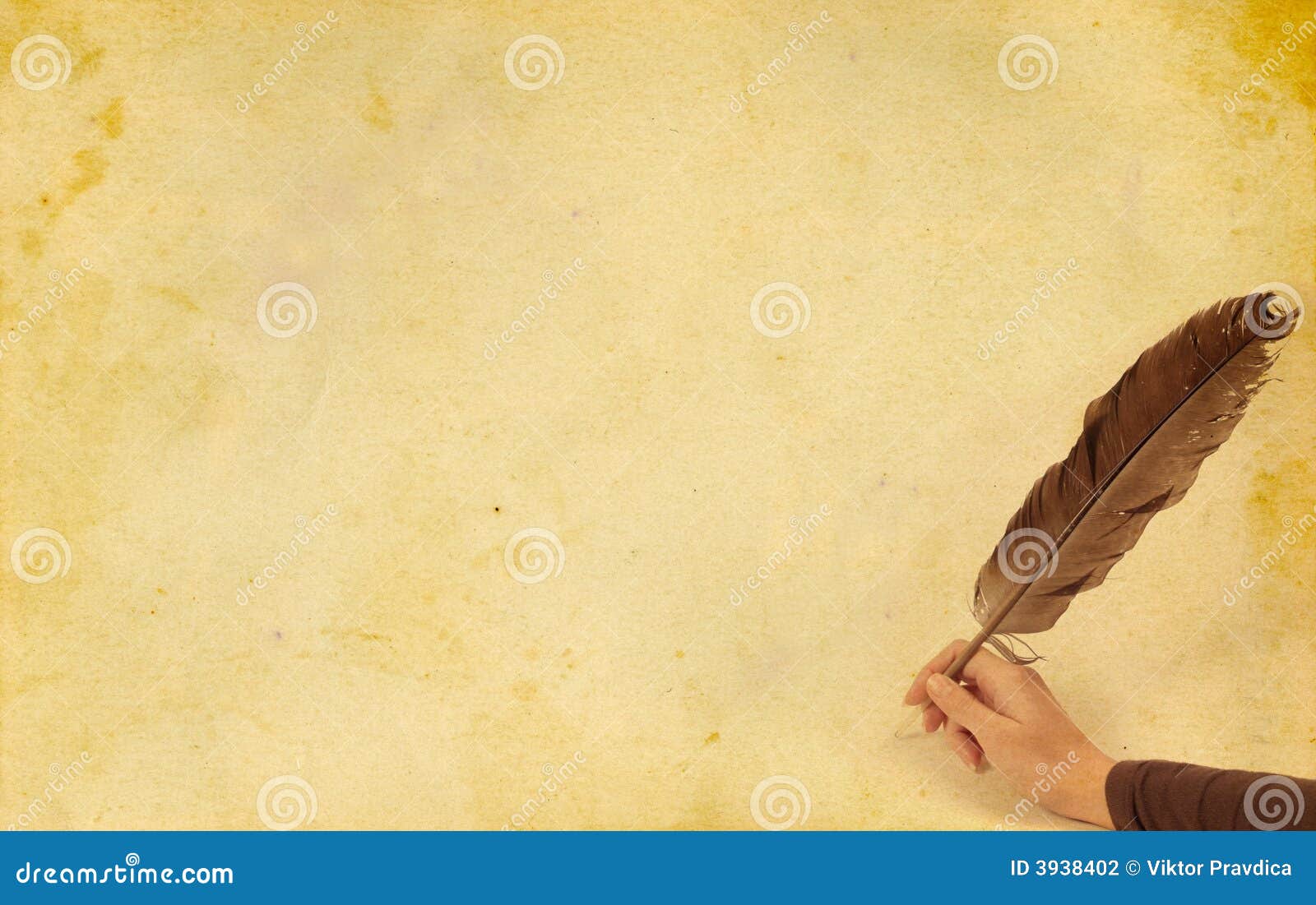 Feather stock photo. Image of literature, manuscript, author - 3938402