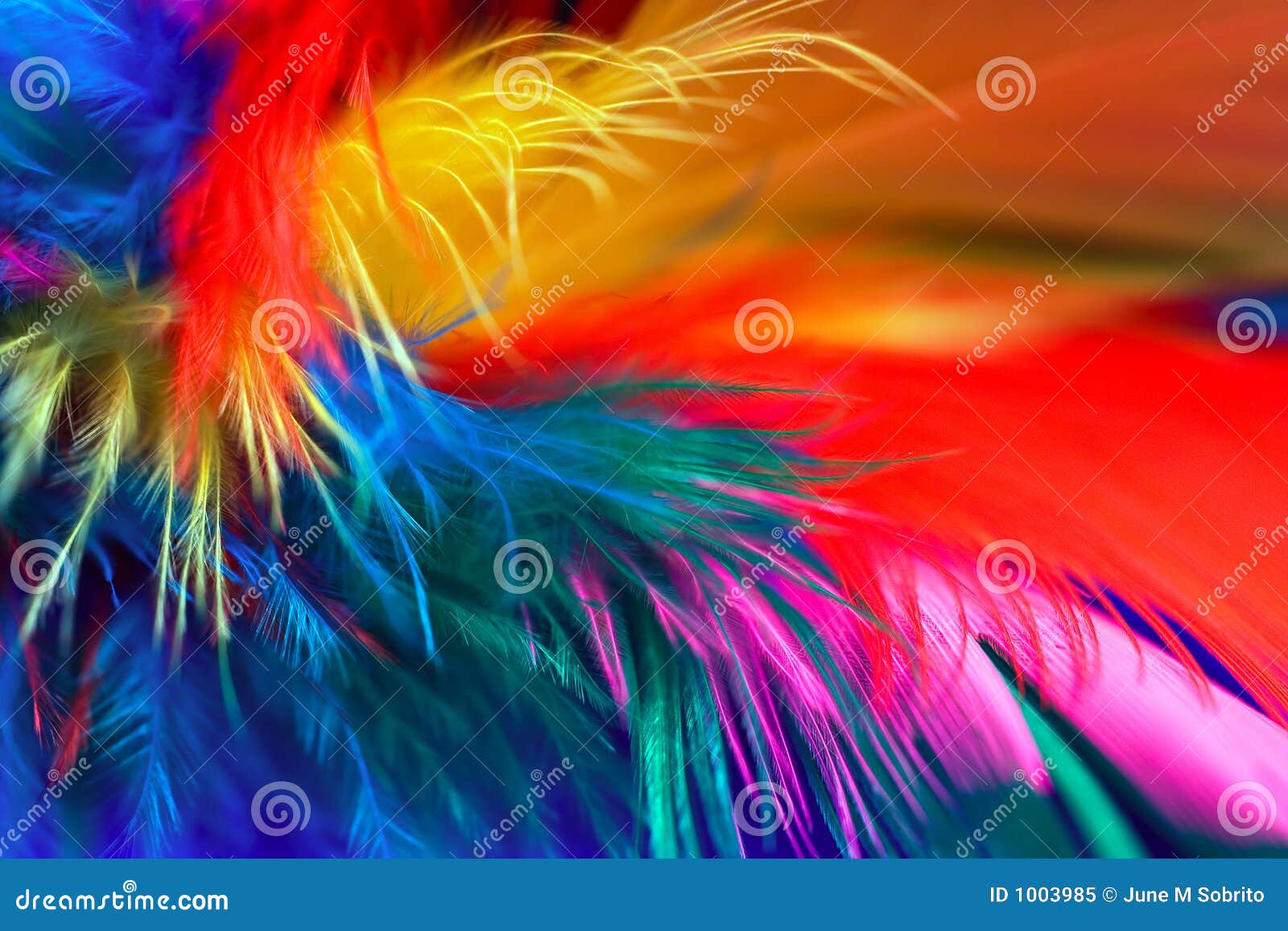 Feather Abstract 1 stock image. Image of abstract, grow - 1003985