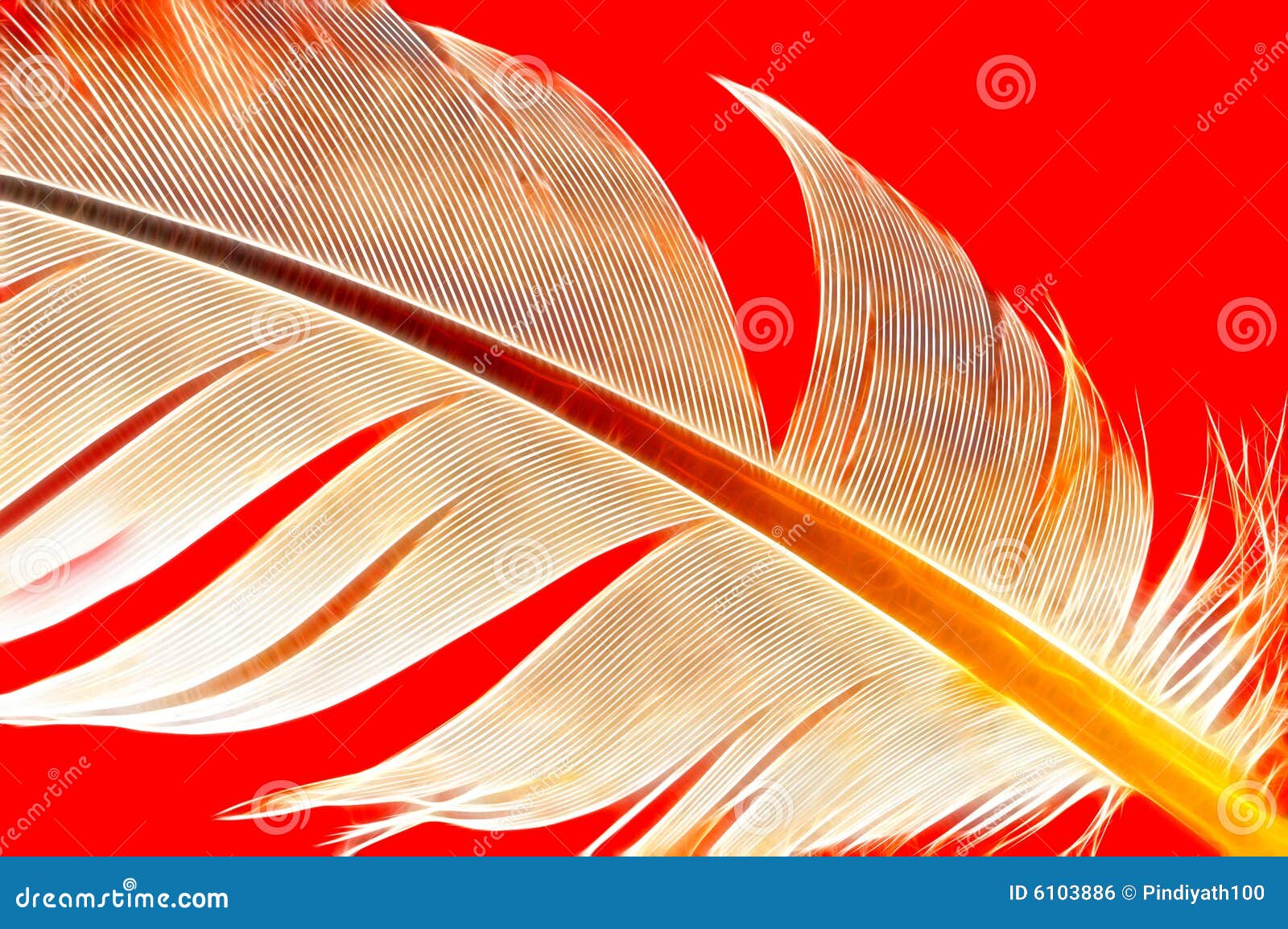 Feather Abstract stock photo. Image of details, bird, color - 6103886