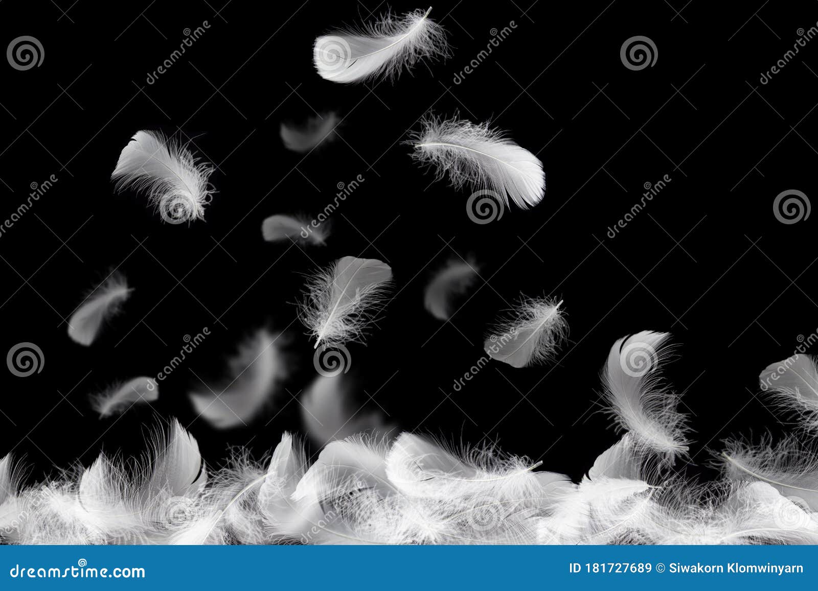 Feather Abstract Background, Soft White Feathers Falling Down in the ...