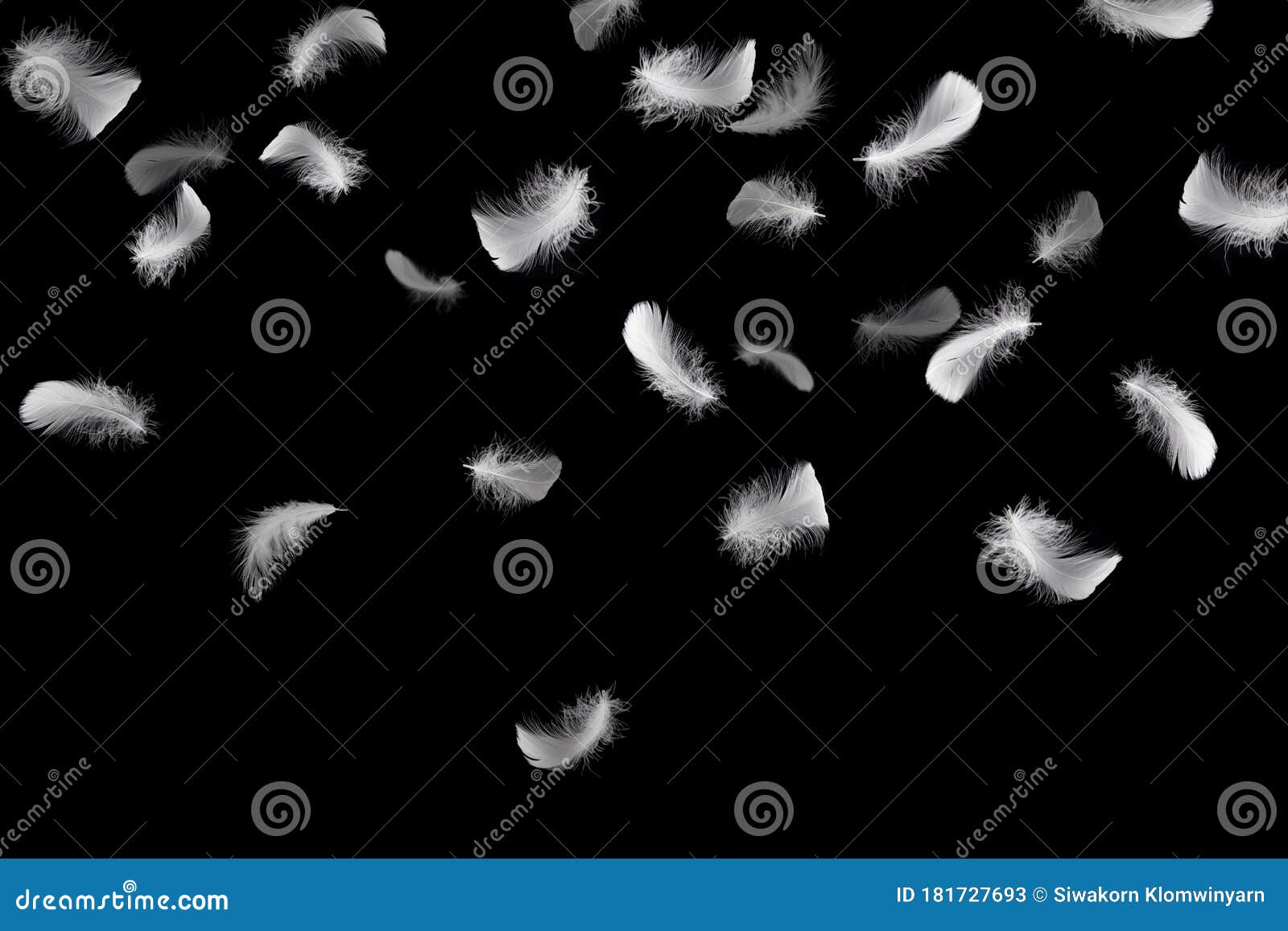 Feather Abstract Background, Soft White Feathers Falling Down in the ...
