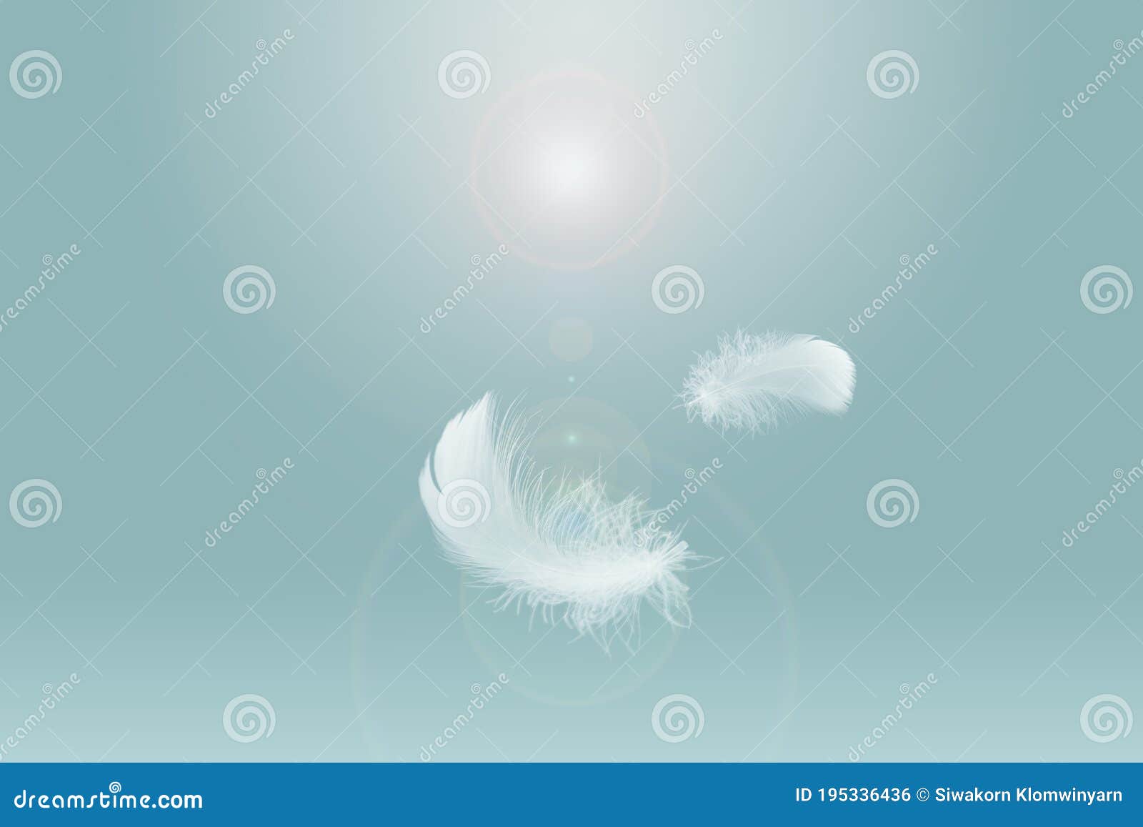 Feather Abstract Freedom Concept. Light Fluffy White Feathers Floating ...