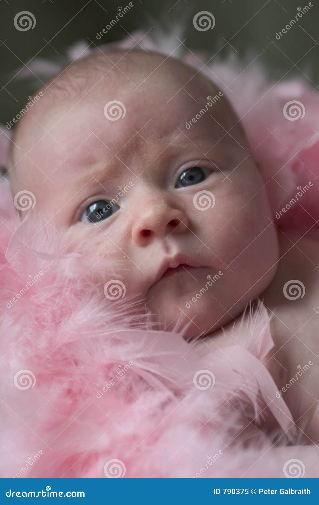 Feather baby stock image. Image of enjoyment, happy, adore - 790375