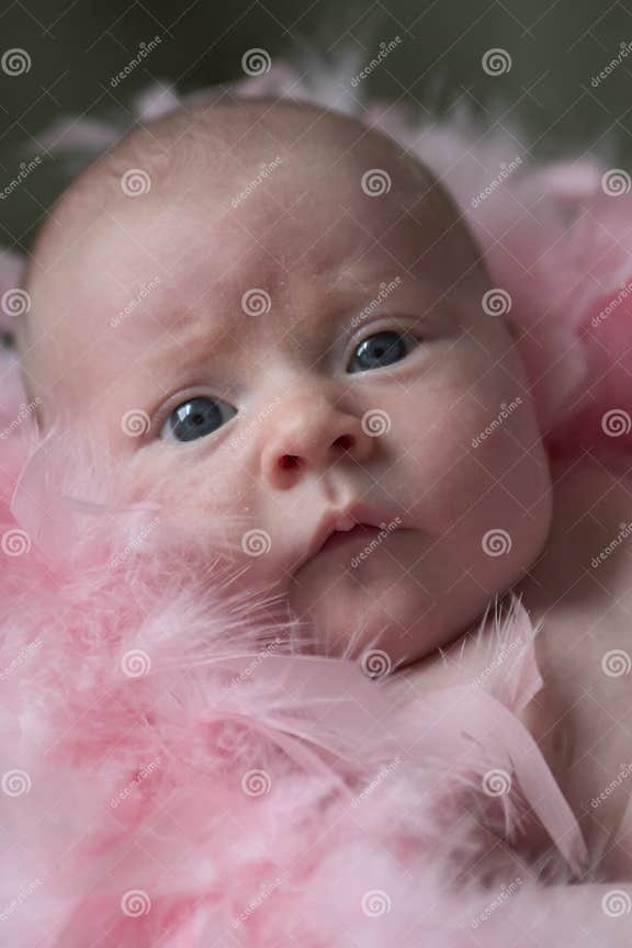 Feather baby stock image. Image of enjoyment, happy, adore - 790375