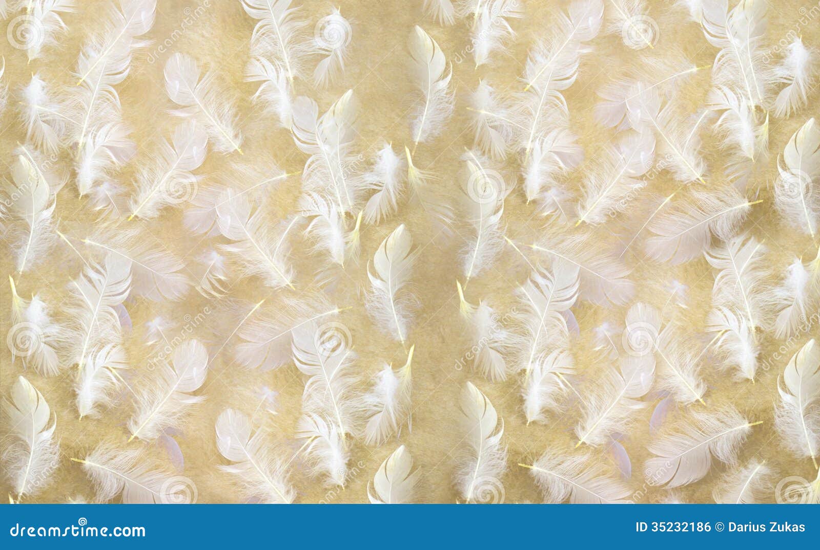 Feather Background stock photo. Image of abstract, soft - 35232186