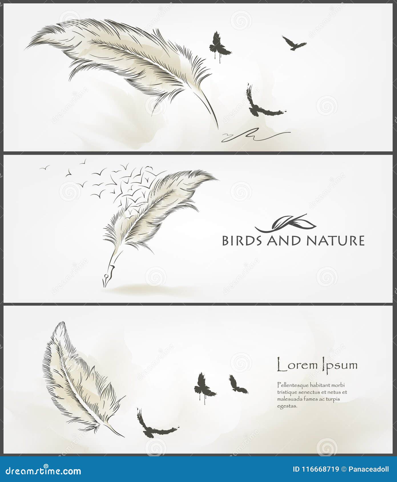 Feather Banner for Facebook Vector Design Stock Illustration ...