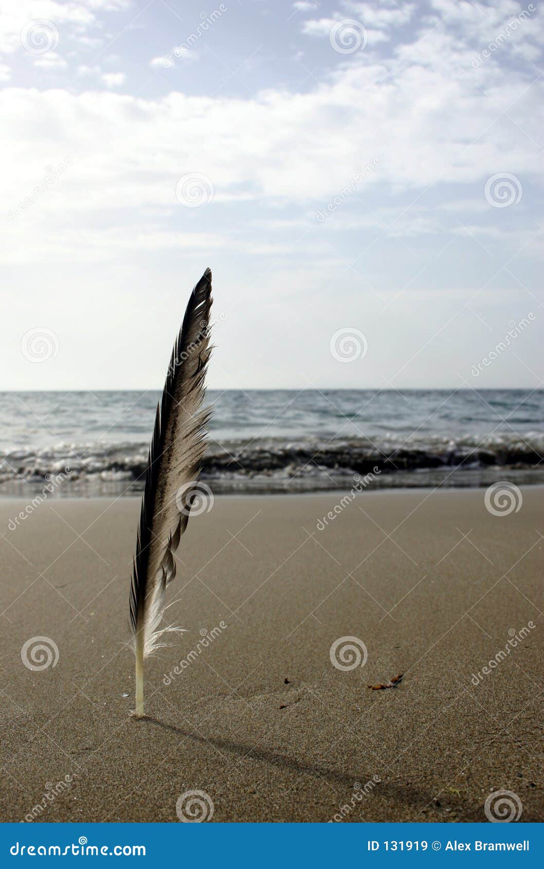 Feather Beach stock image. Image of vacation, escape, yellow - 131919