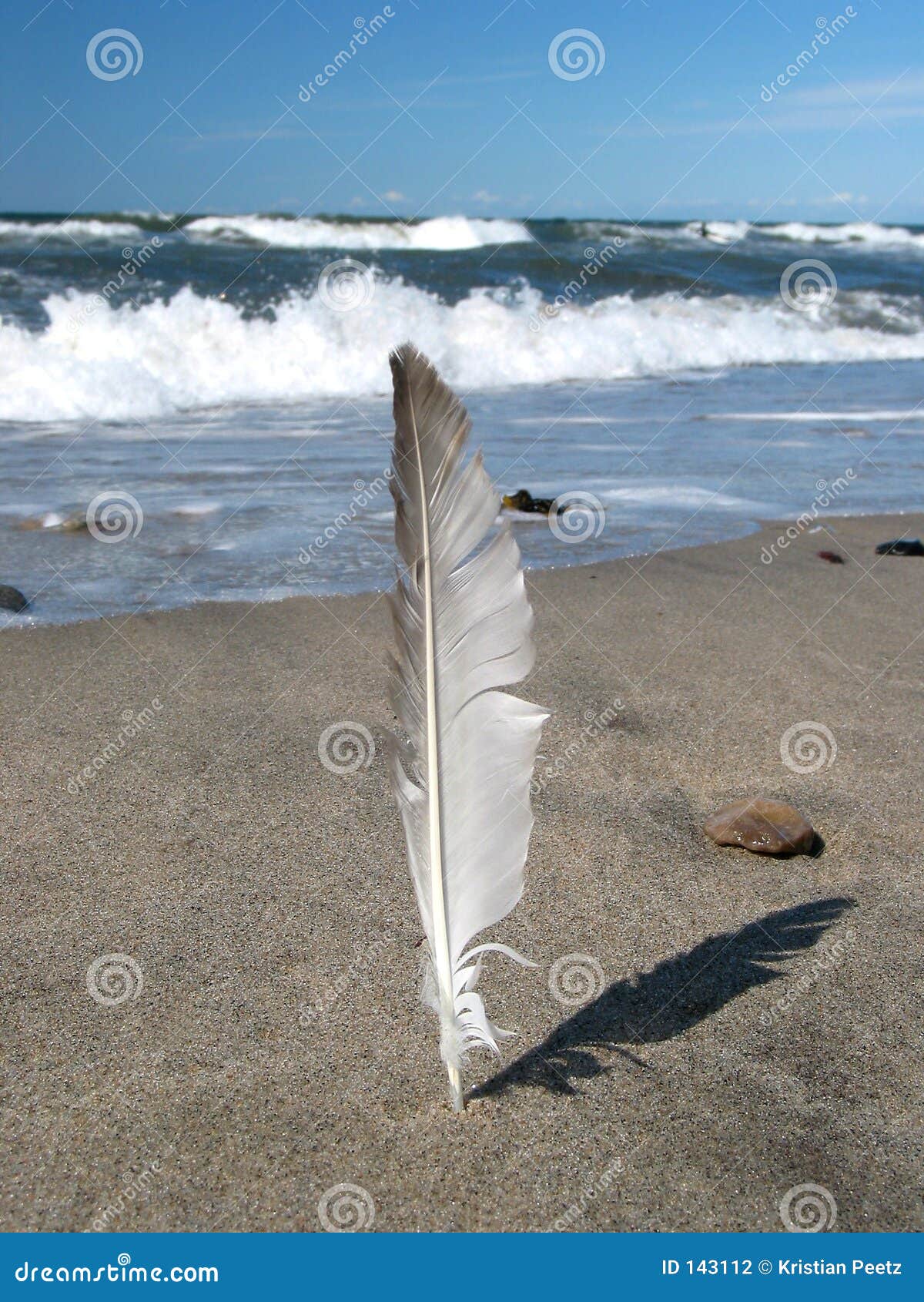 Feather on the Beach (clean) Stock Photo - Image of ocean, vacation: 143112