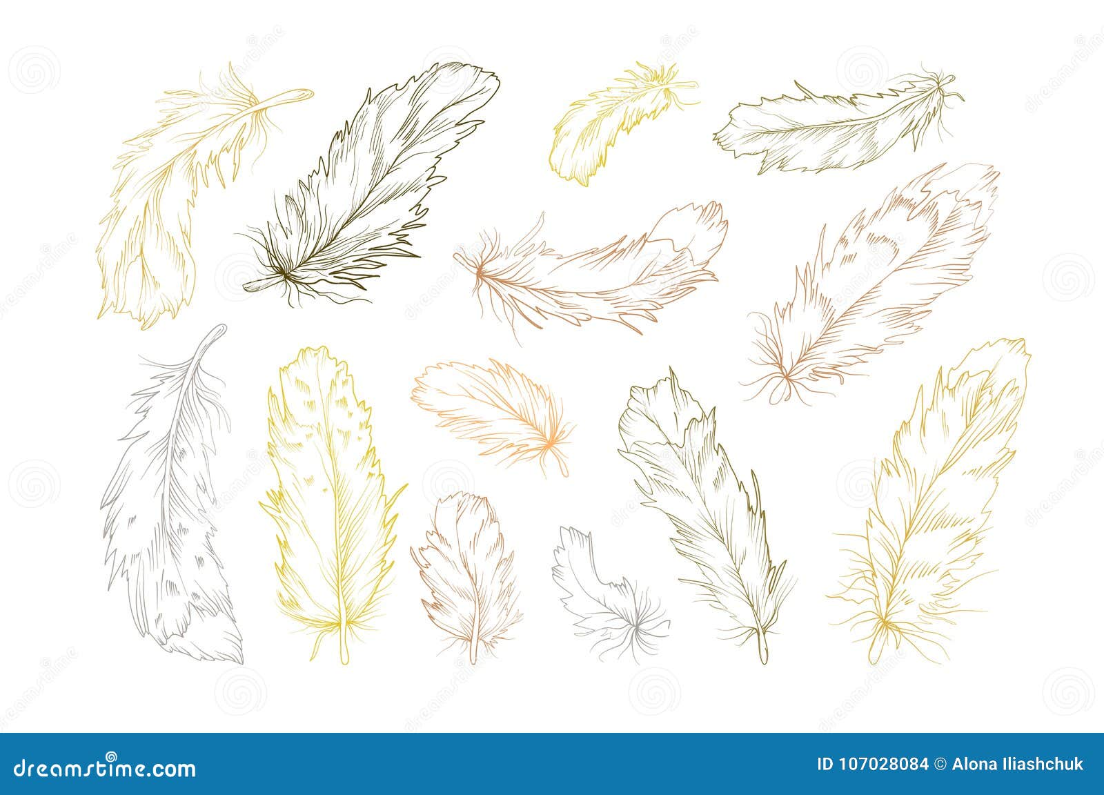 Feather, Bird Feathers, SVG, DXF, PNG, Cricut, Silhouette Cameo, EPS ...